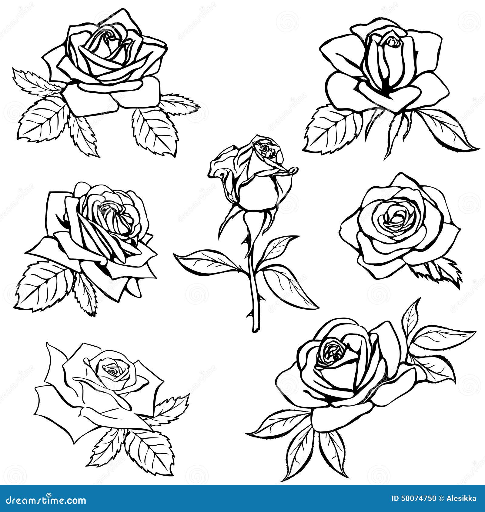 Rosen Bleistiftzeichnung Wie Man Eine Rose Zeichnet Schritt Für