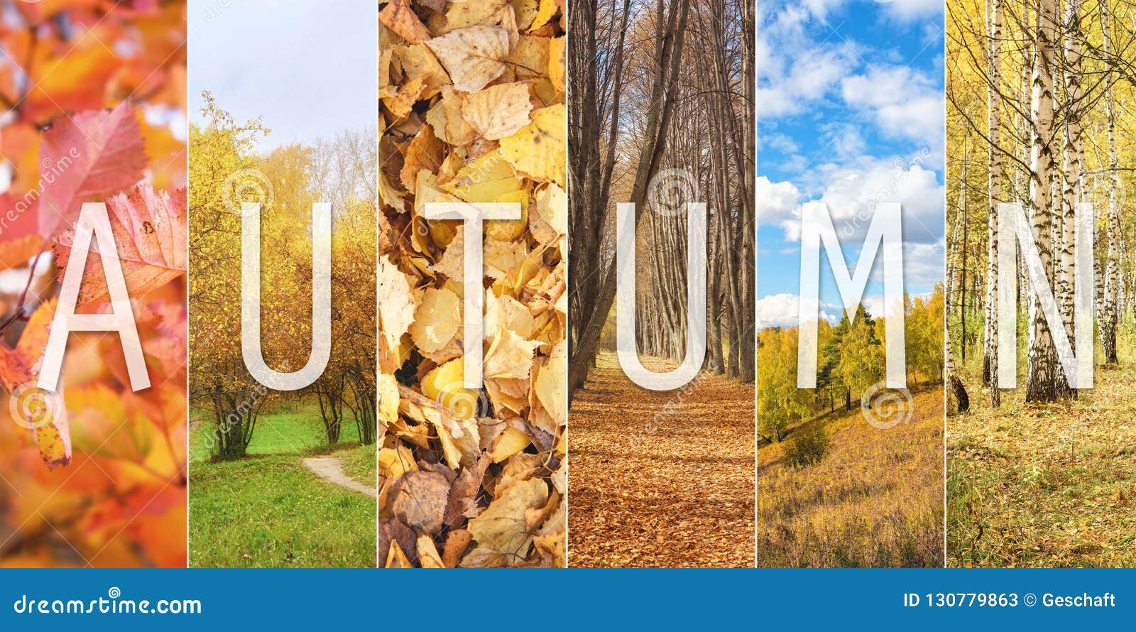 Stellen Sie Von Autumn Vertical Scenery Mit Text-Titel Ein Stockbild ...