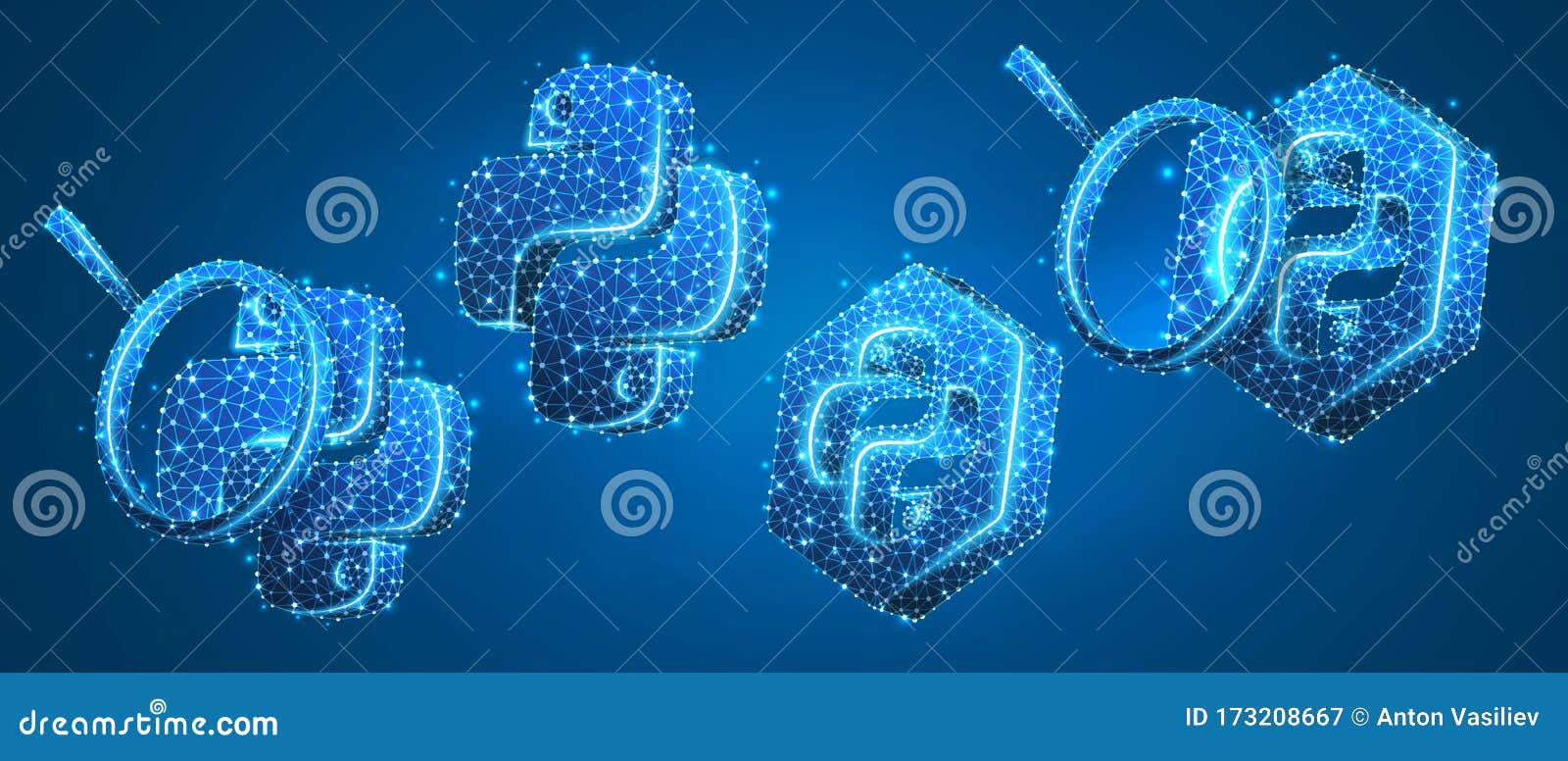 Stellen Sie Von Den PythonschlangenCodezeichen Mit Lupe Ein ...