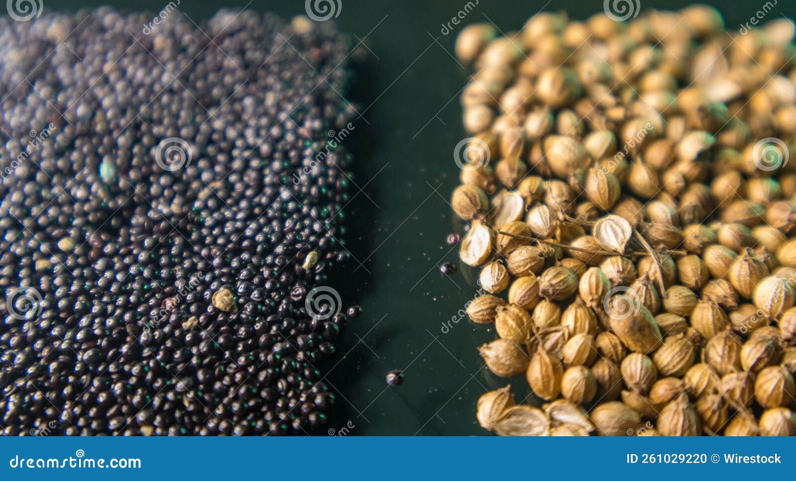 Stem Amaranth( Data Denga Dughi Callaloo Spinach) and Sack Whole ...