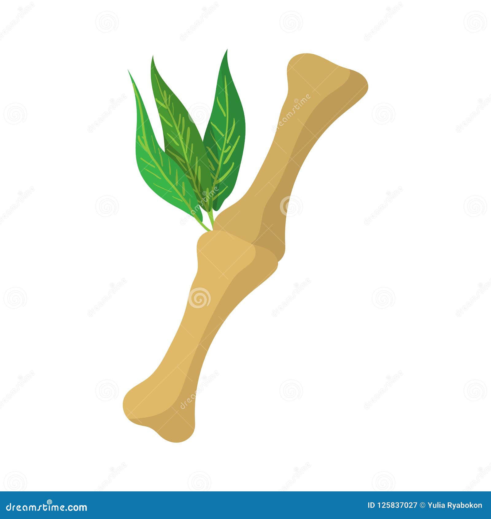 Stem Cartoon Stock Illustrations – 20,963 Stem Cartoon Stock ...