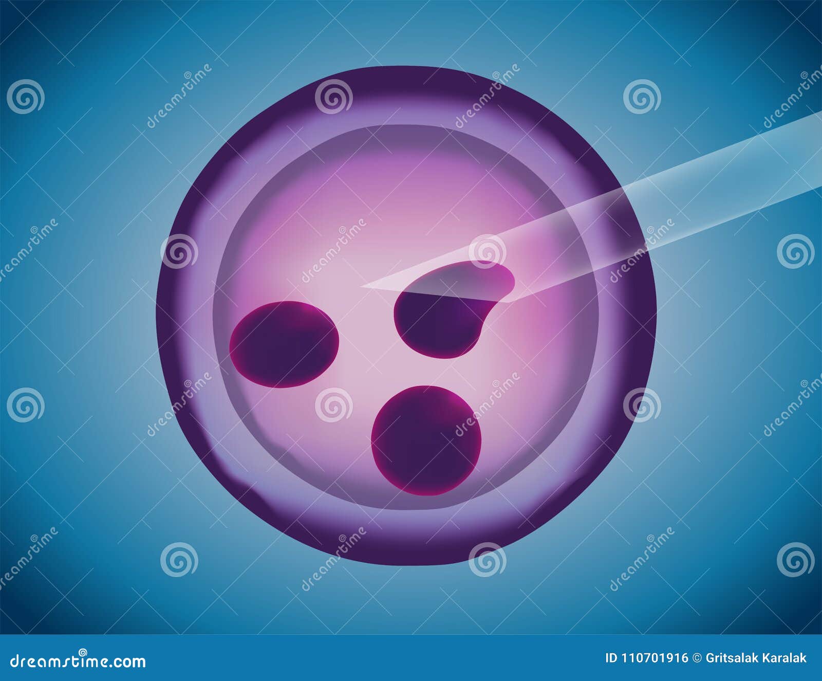 Stem Cell , Artificial Insemination Graphic Stock Vector - Illustration ...