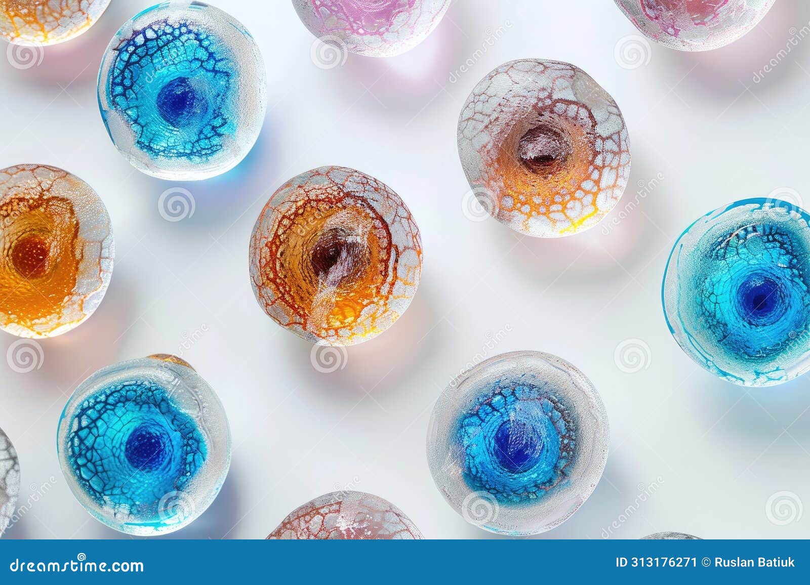 Stem Cell, the Central Foundation for Regeneration and Repair Processes ...