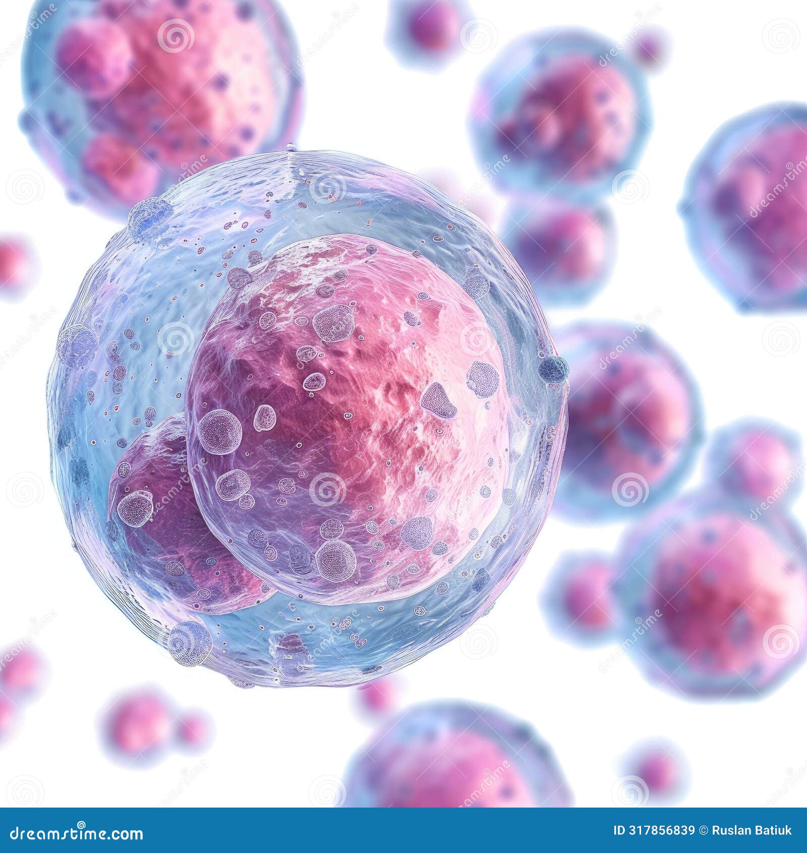 Stem Cell, the Central Foundation for Regeneration and Repair Processes ...