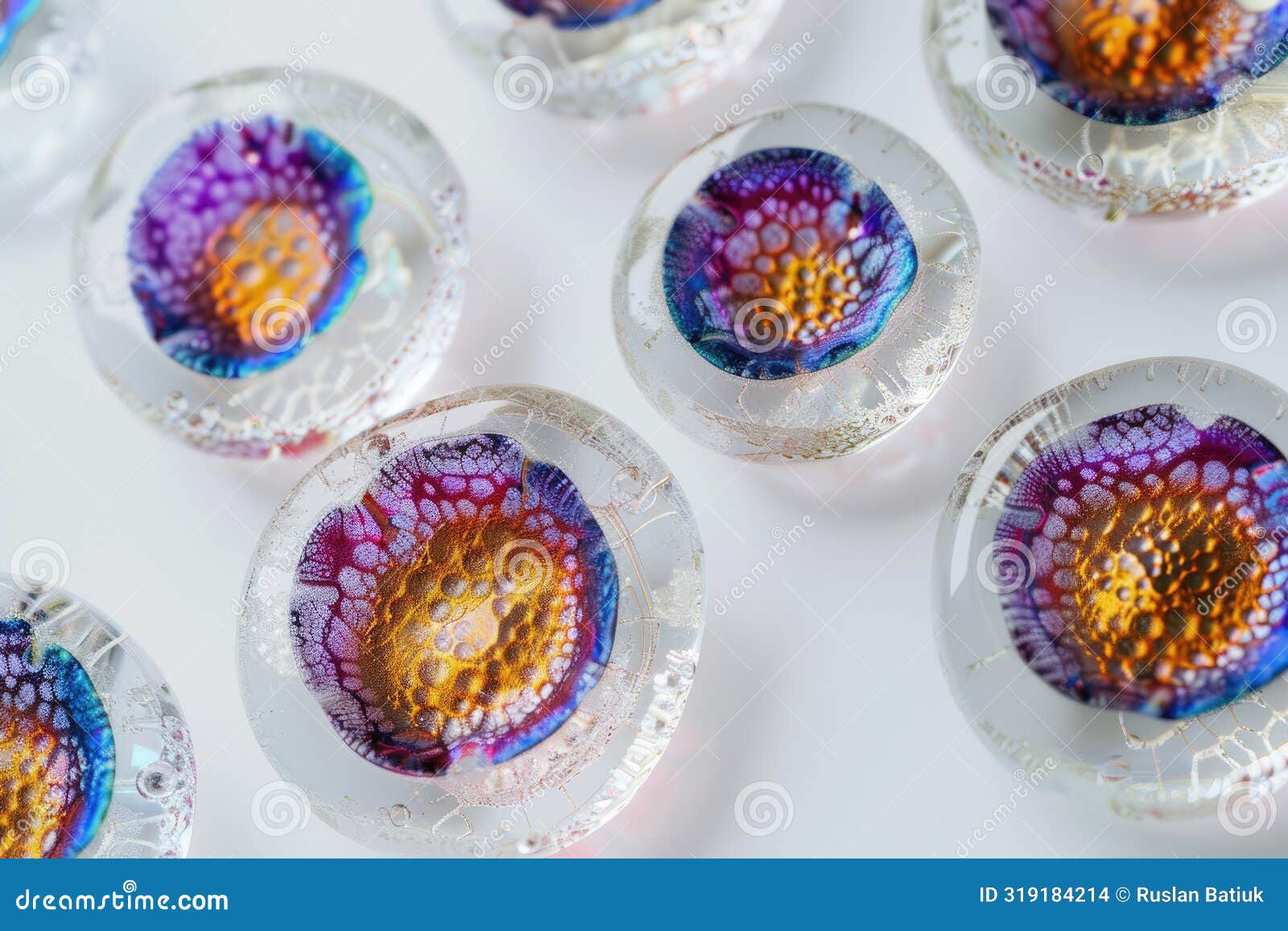 Stem Cell, the Central Foundation for Regeneration and Repair Processes ...