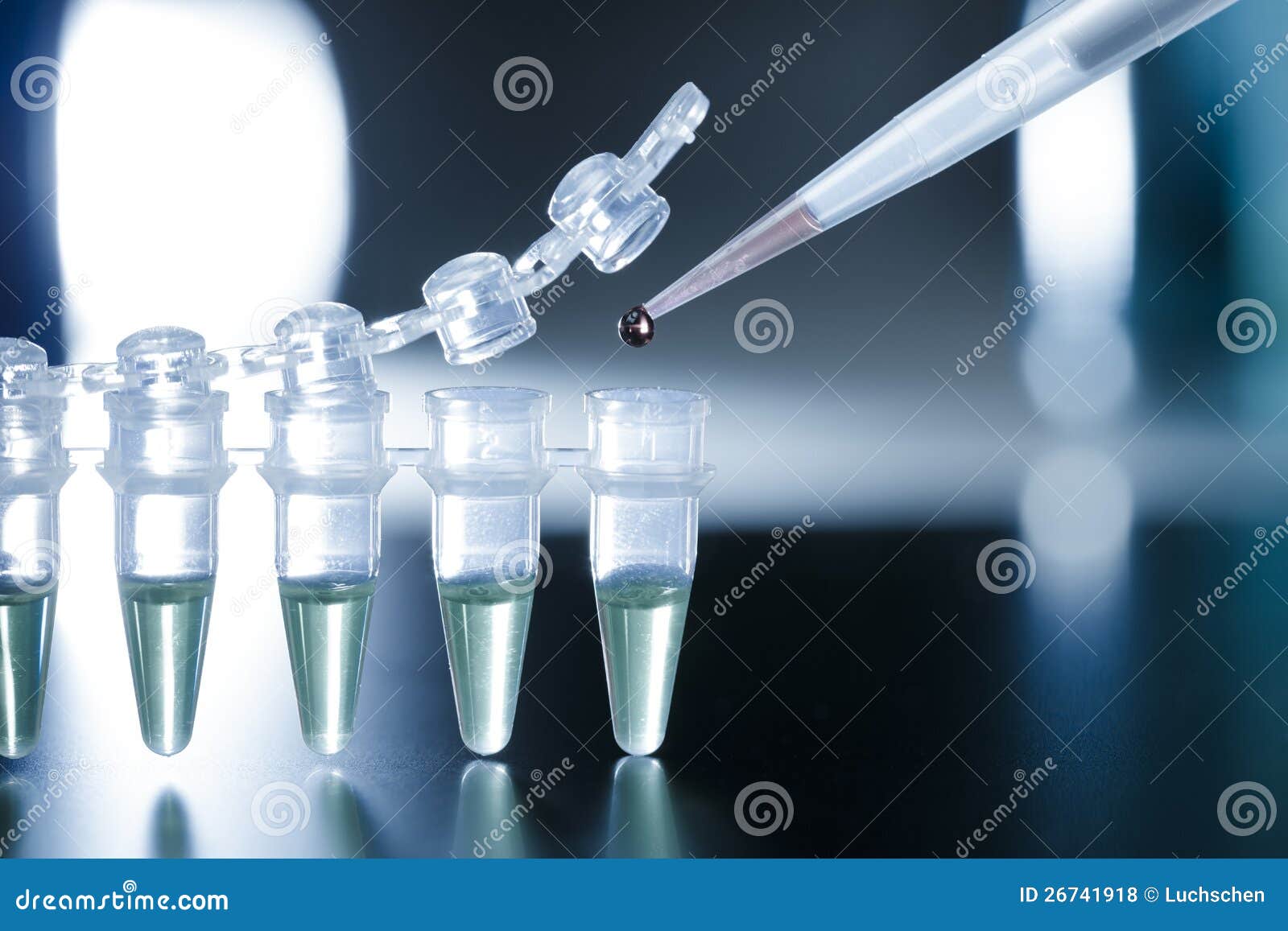 Stem cell research stock photo. Image of tubes, laboratory - 26741918
