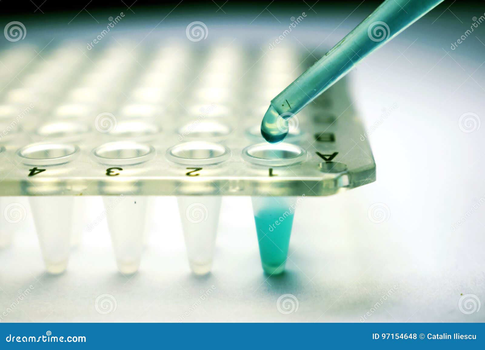 Stem Cell Research Pipette stock photo. Image of chemistry - 97154648