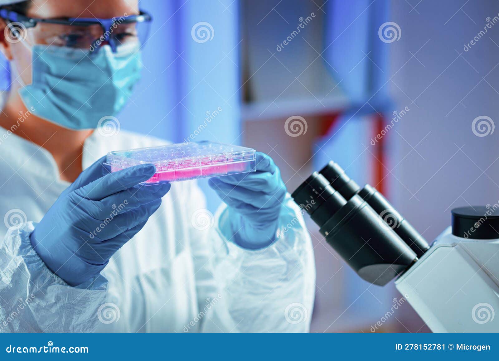 Stem Cell Researcher Working in Laboratory Stock Image - Image of plate ...