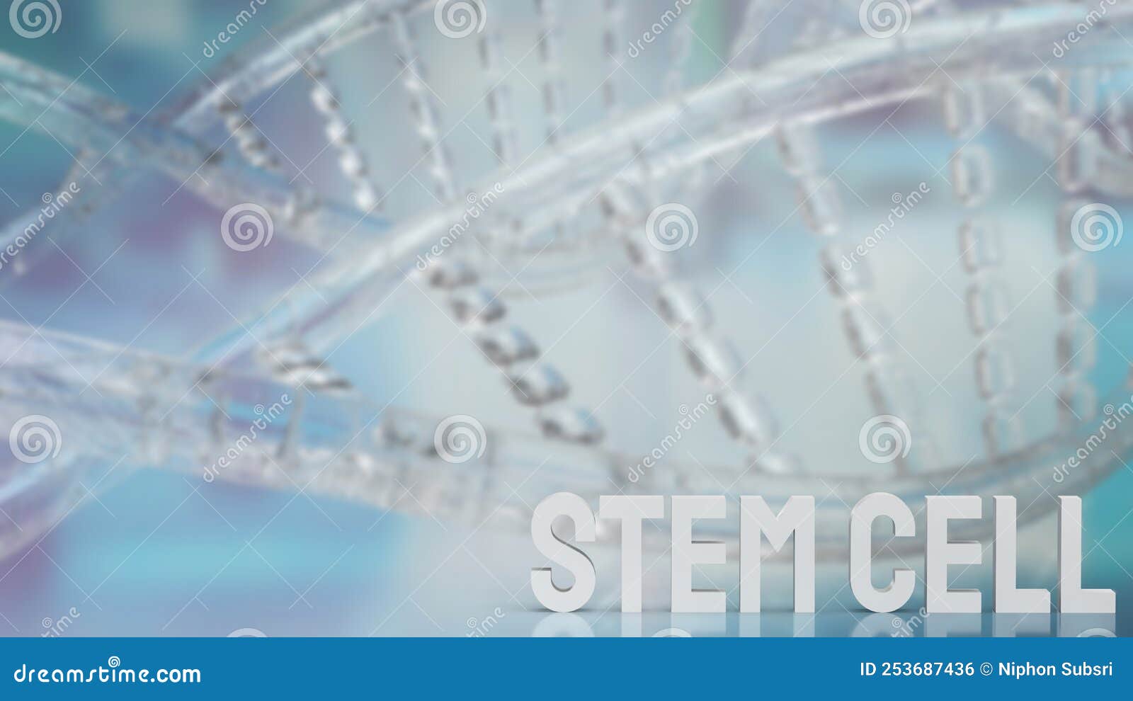 The Stem Cell Text on Dna Background for Sci or Medical Concept 3d ...