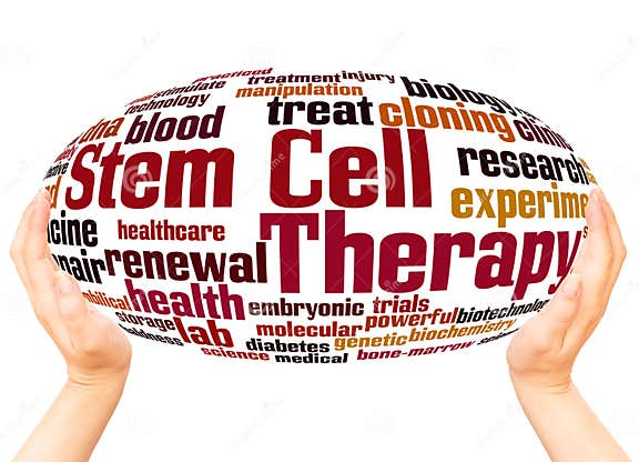 Stem Cell Therapy Word Cloud Hand Sphere Concept Stock Image Image Of