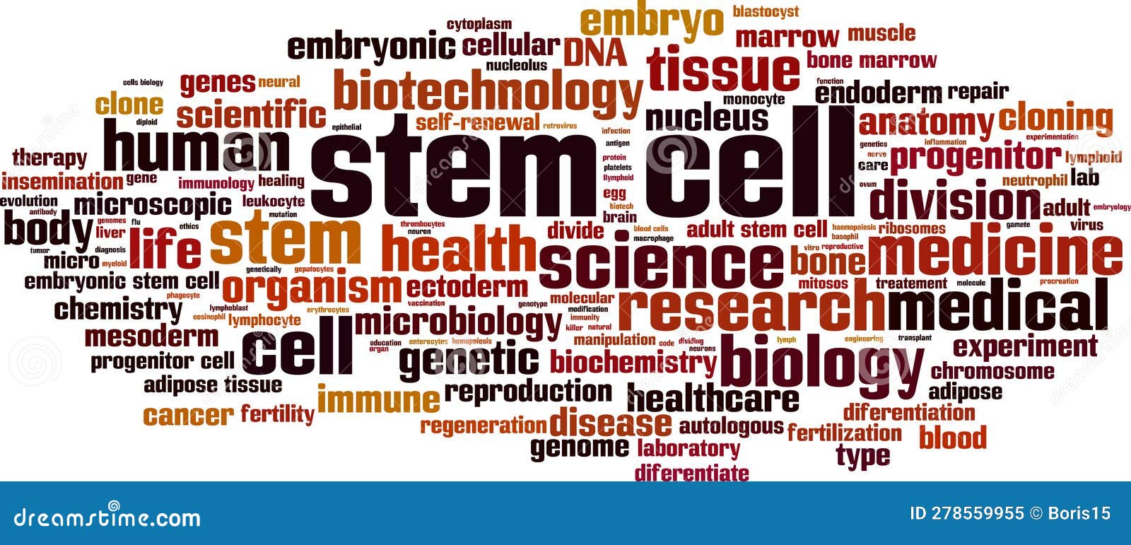 Stem cell word cloud stock vector. Illustration of blood - 278559955