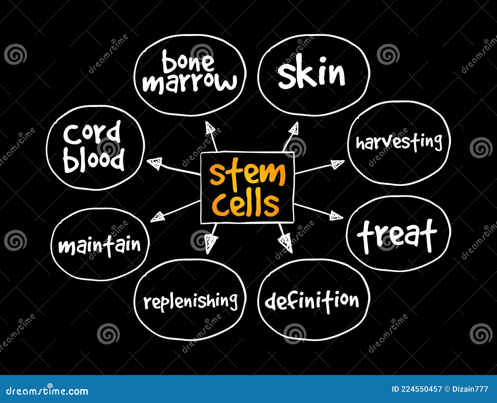 Stem Cells Mind Map, Medical Concept for Presentations and Reports ...