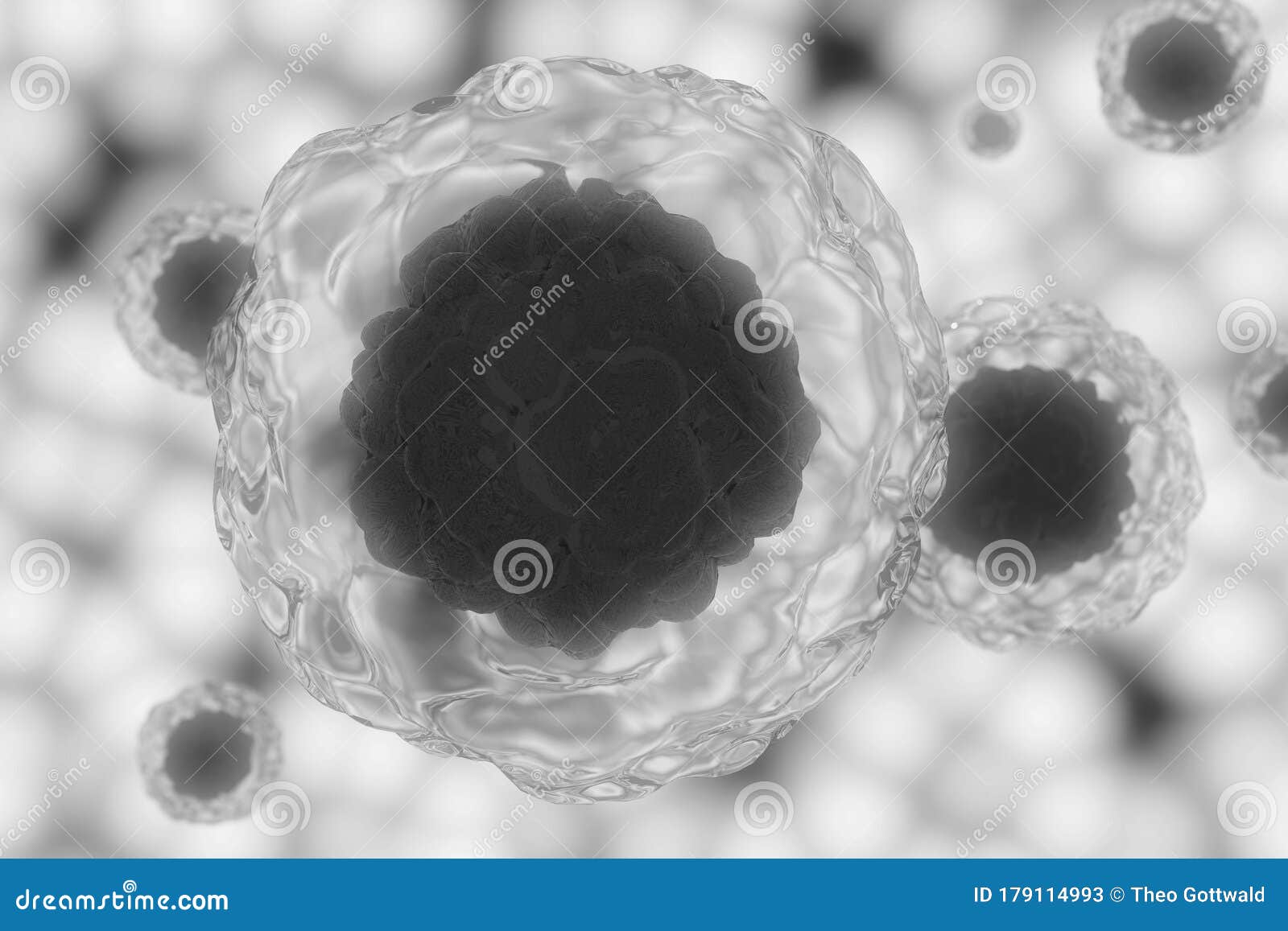 Stem Cells Under a Microscope Stock Illustration - Illustration of ...