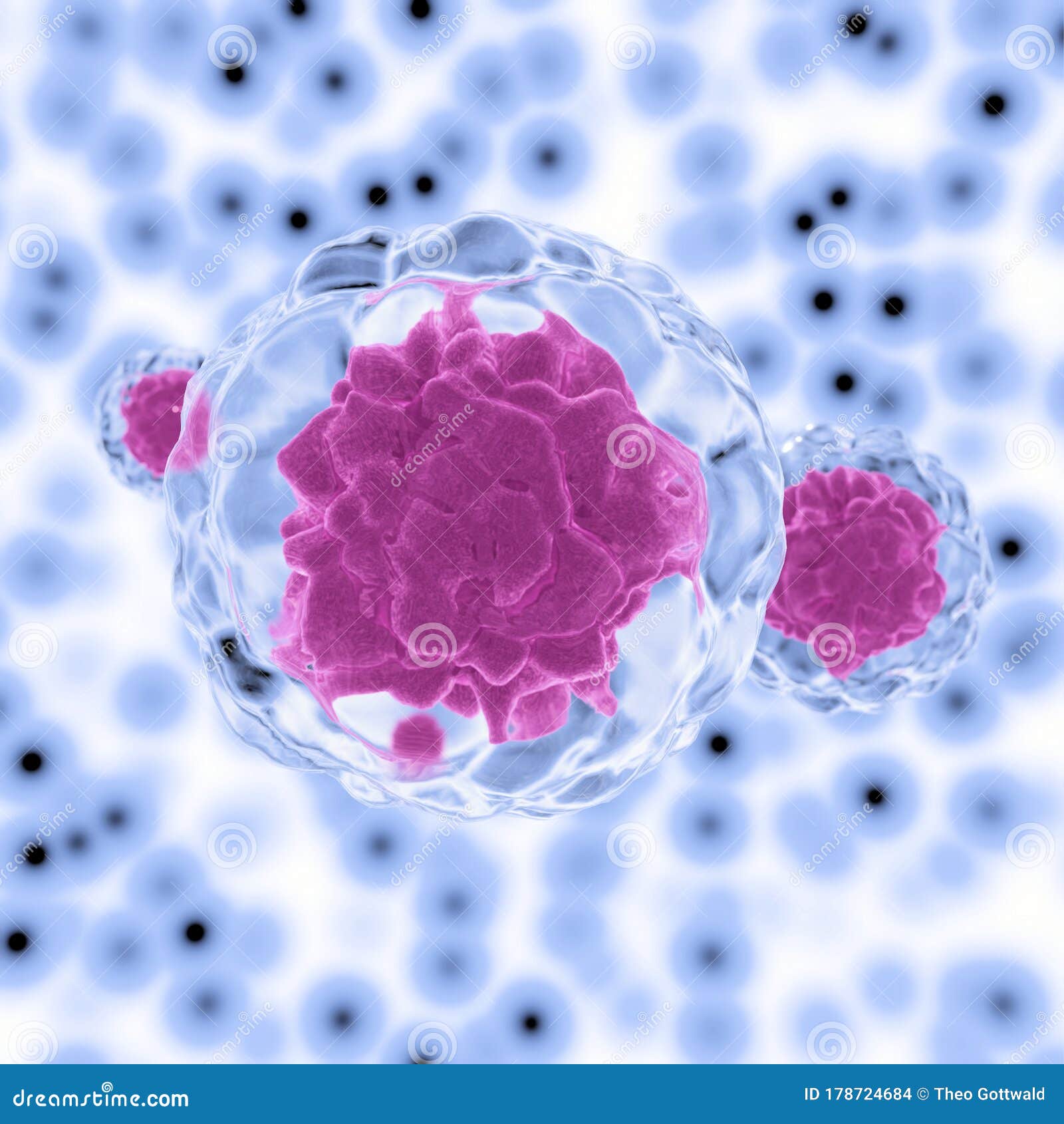 Stem Cells Under a Microscope Stock Illustration - Illustration of ...