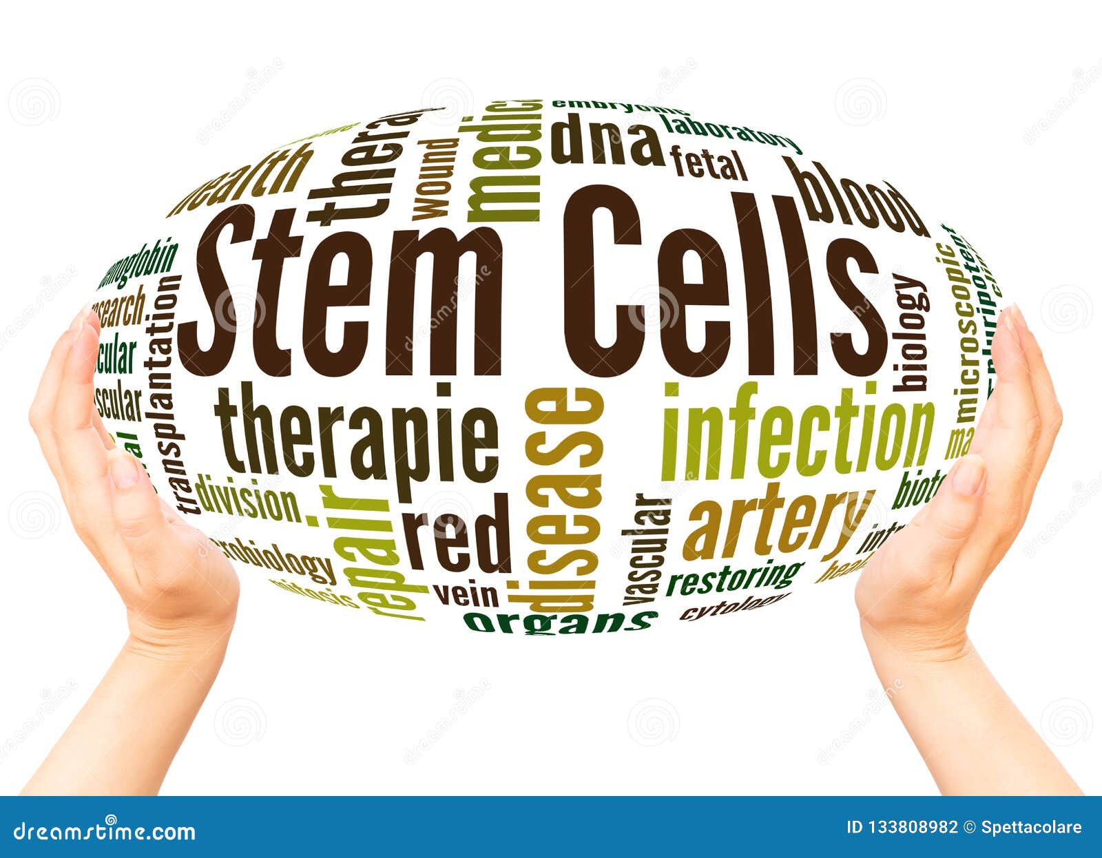 Stem Cells Word Cloud Hand Sphere Concept Stock Illustration ...