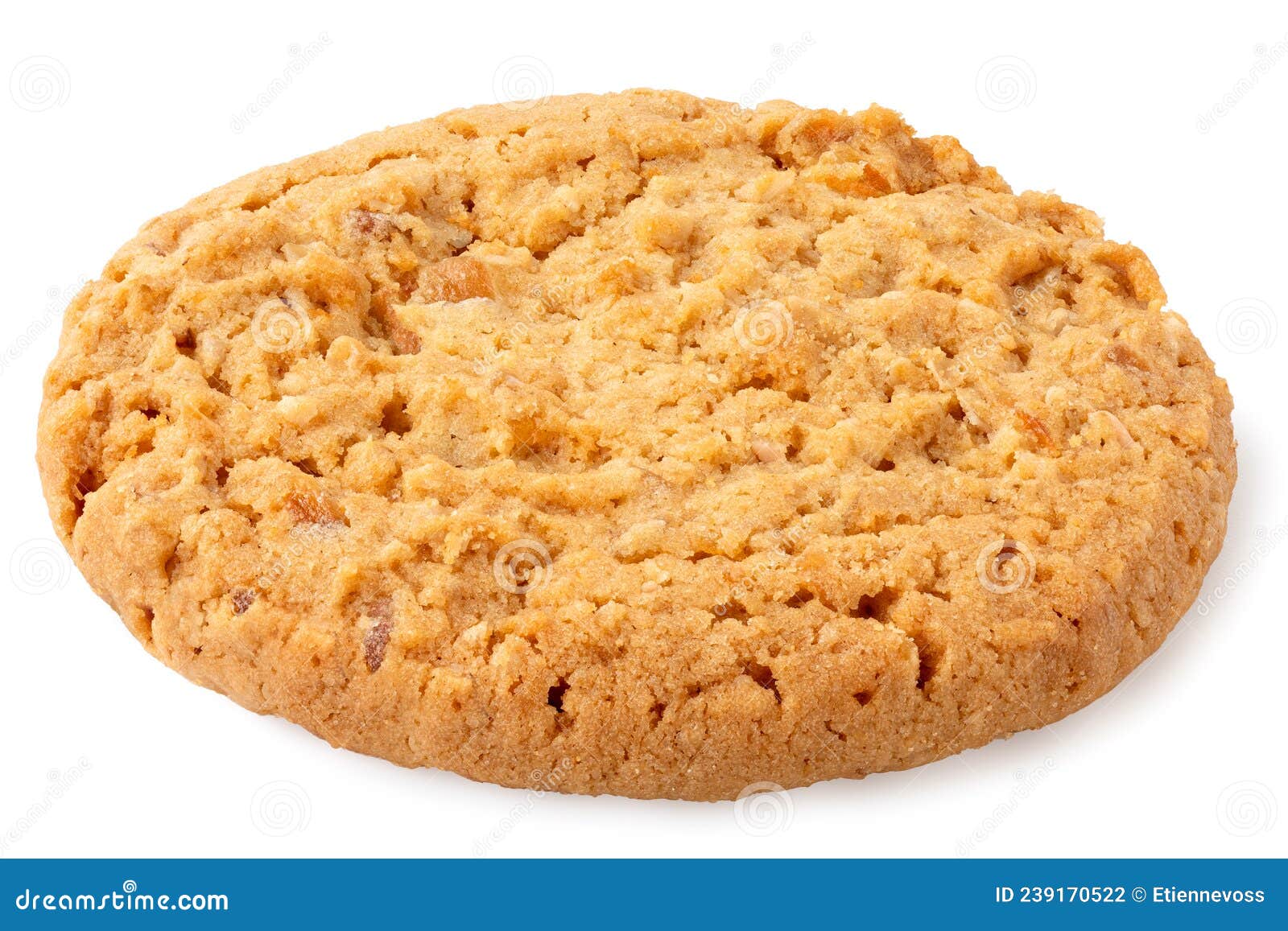 Stem ginger biscuit stock photo. Image of ginger, single - 239170522