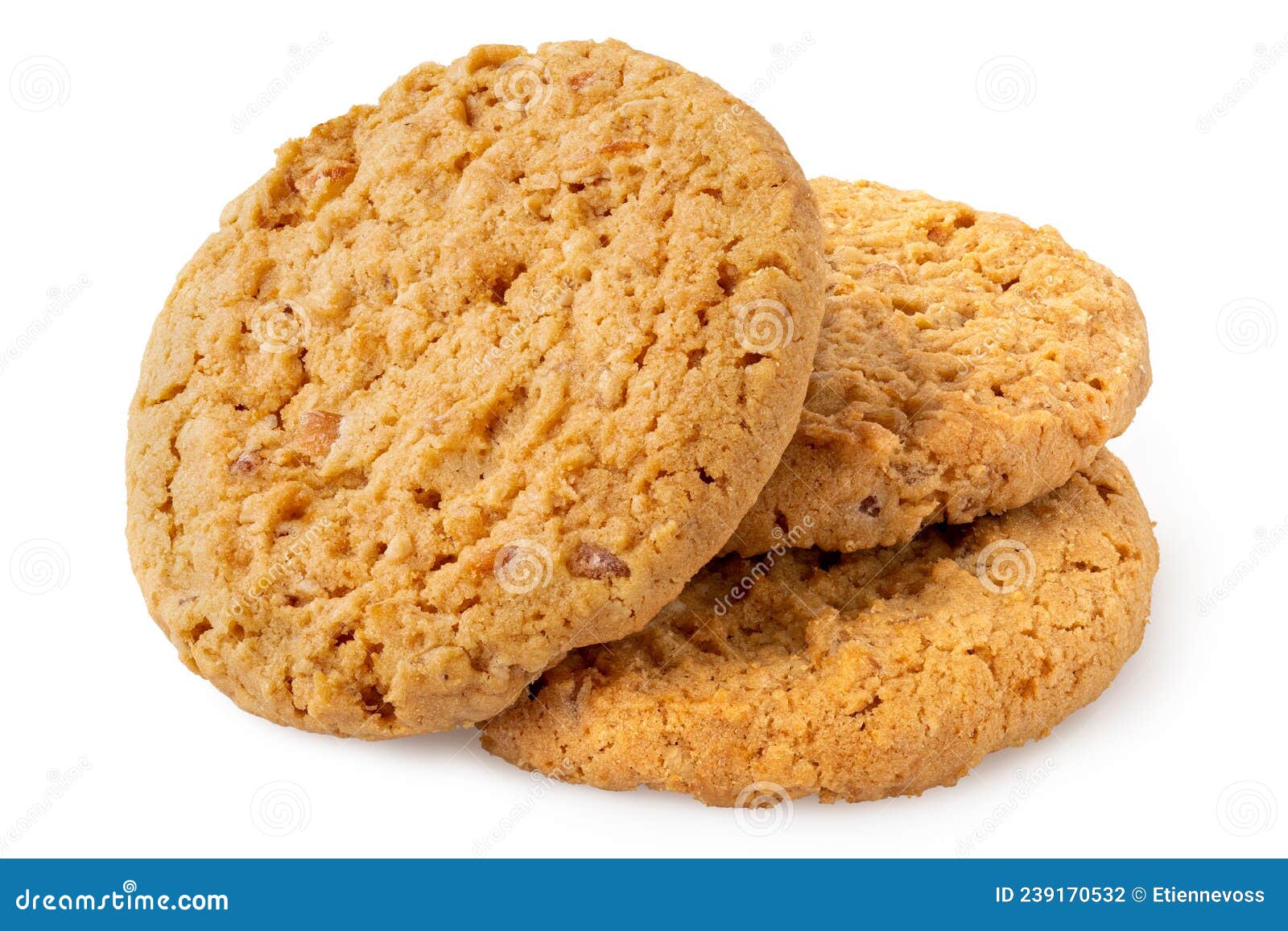 Stem ginger biscuits stock photo. Image of round, snack - 239170532