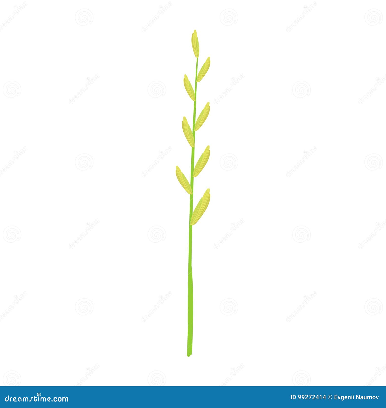 Stem of Green Grass Vector Illustration Stock Vector - Illustration of ...