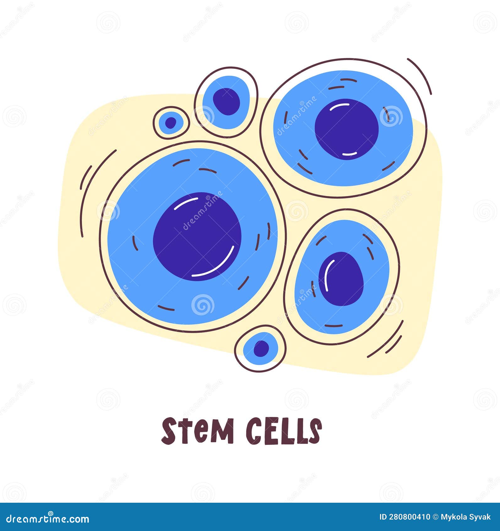 Stem Human Cells stock vector. Illustration of medical - 280800410