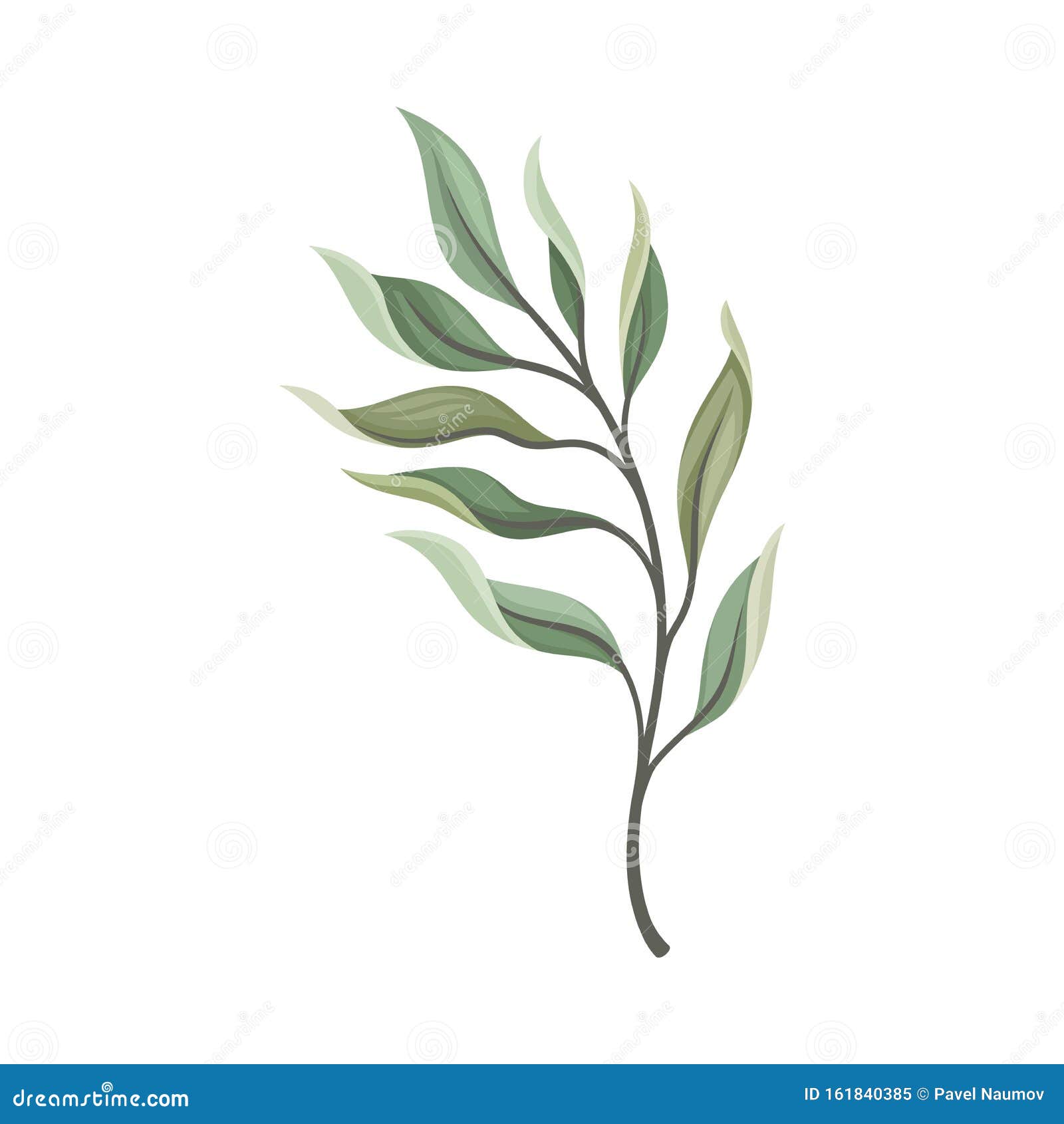 Stem with Long Leaves. Vector Illustration on a White Background. Stock ...