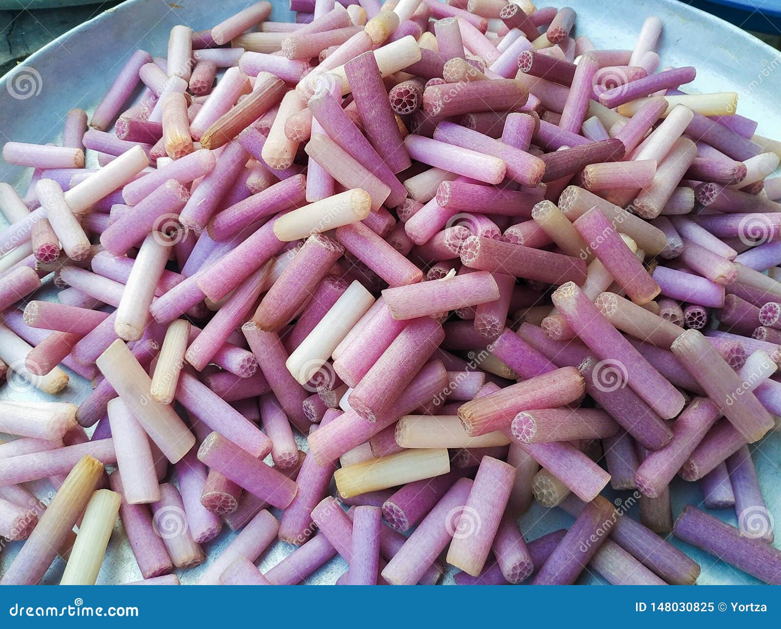 The stem of lotus cut stock image. Image of nature, colorful - 148030825