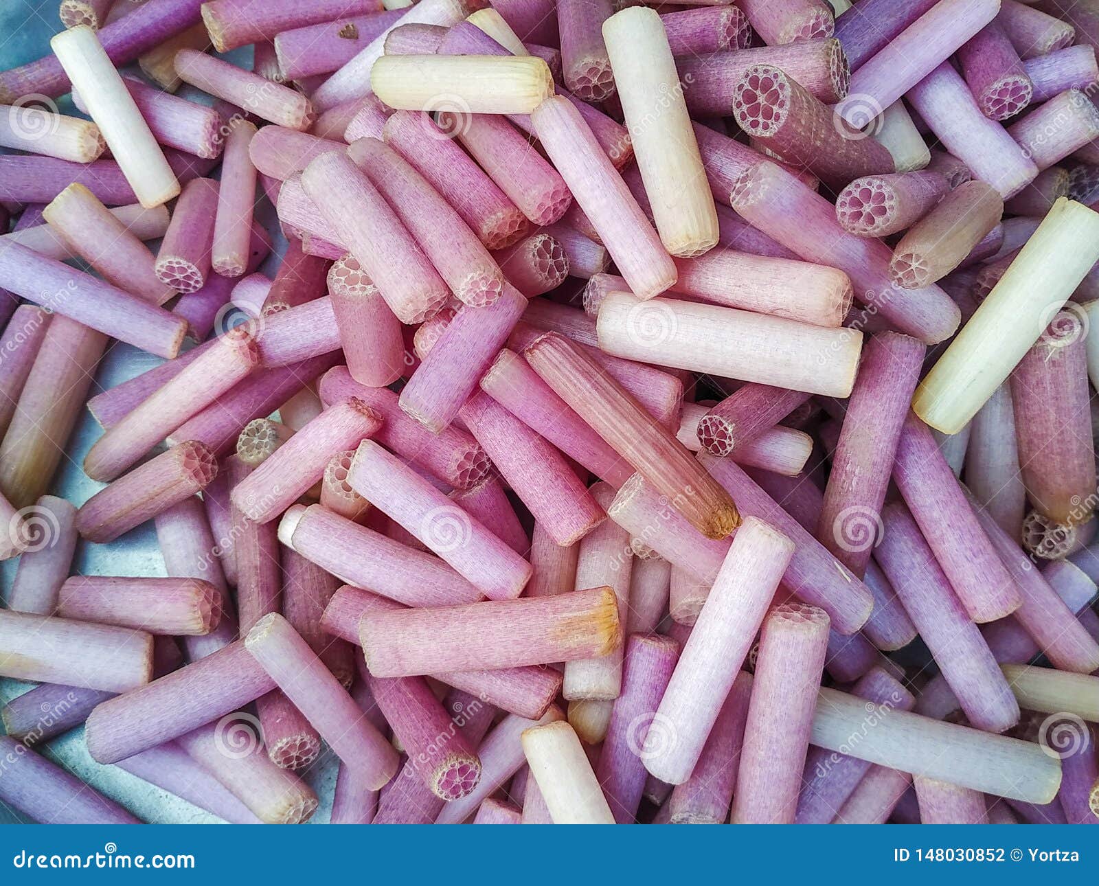 The stem of lotus cut stock photo. Image of gourmet - 148030852