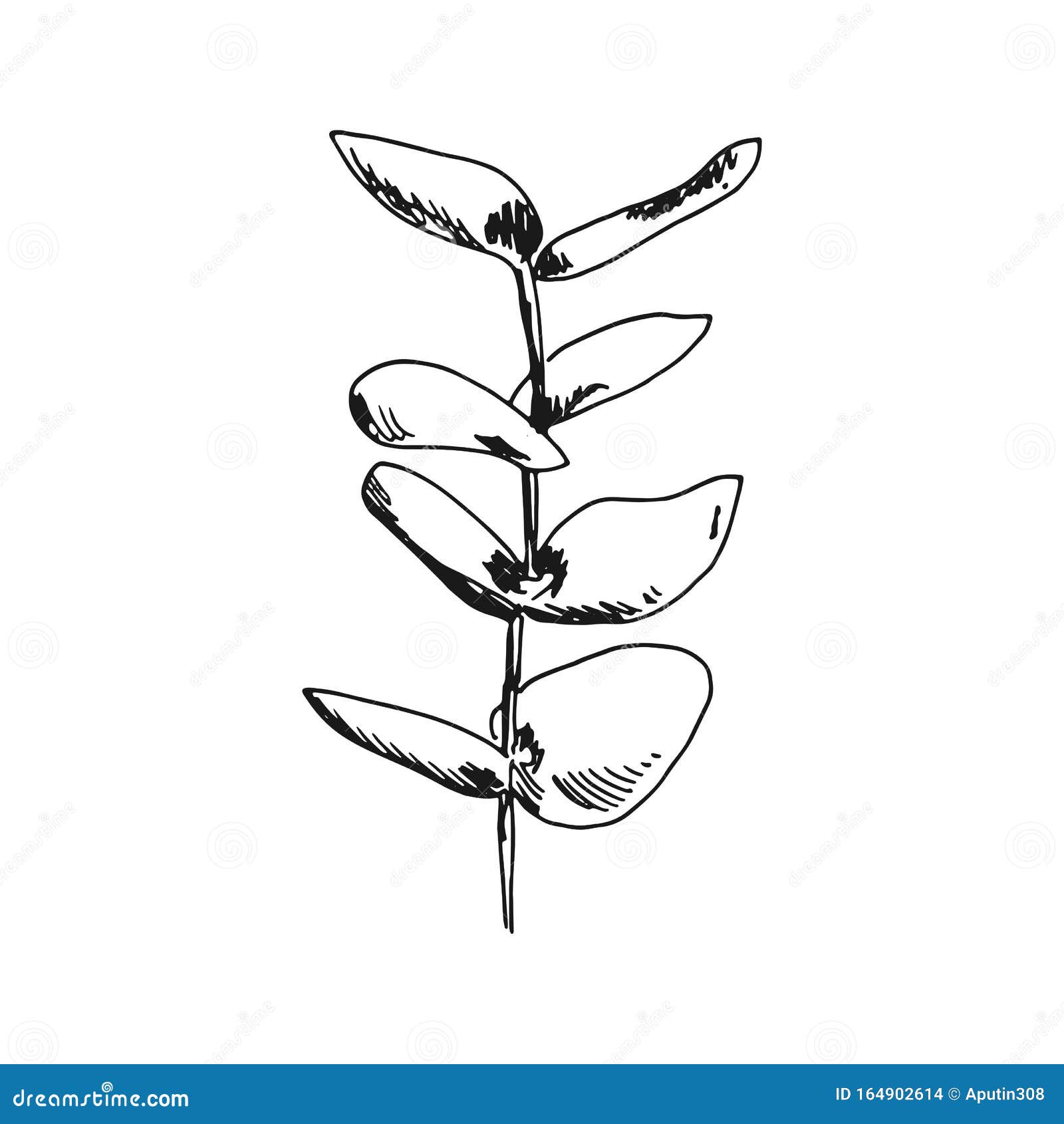 Stem Met Object Bladeren Schetsen Vector Illustratie - Illustration of ...