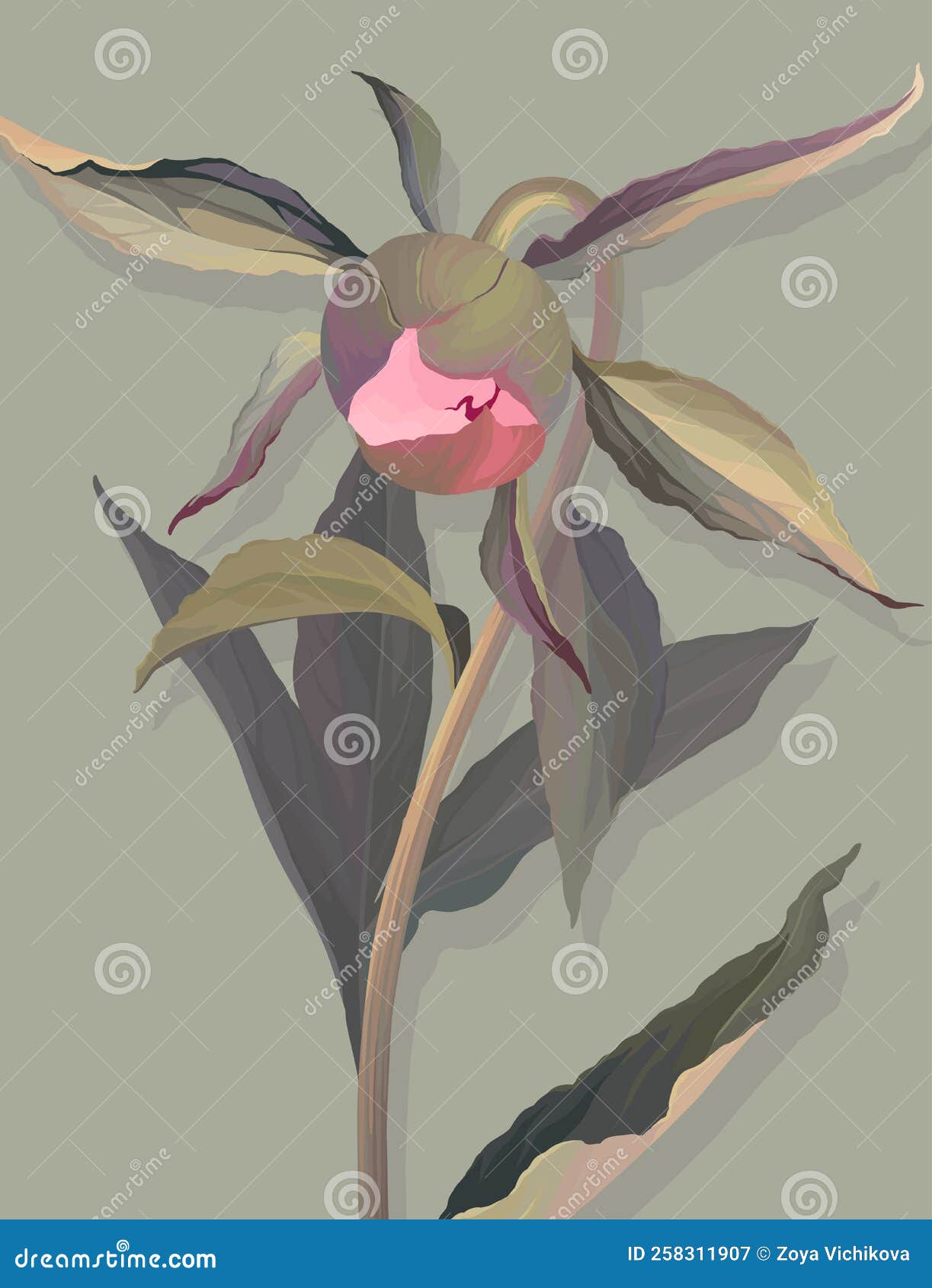 Stem with Peony Bud on a Green Background Stock Vector - Illustration ...