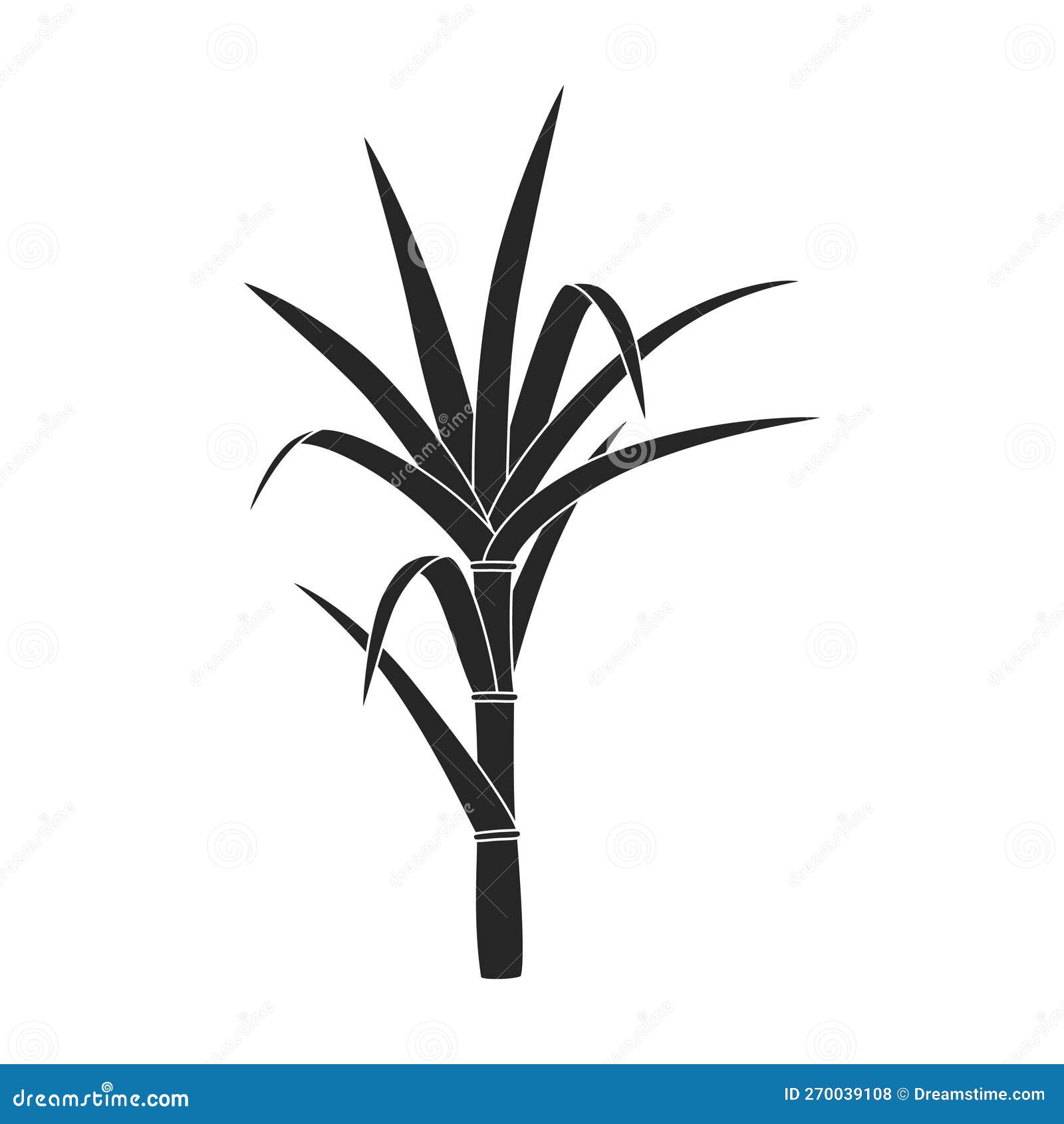 Stem Sugar Cane Vector Icon.Cartoon Vector Icon Isolated On White ...