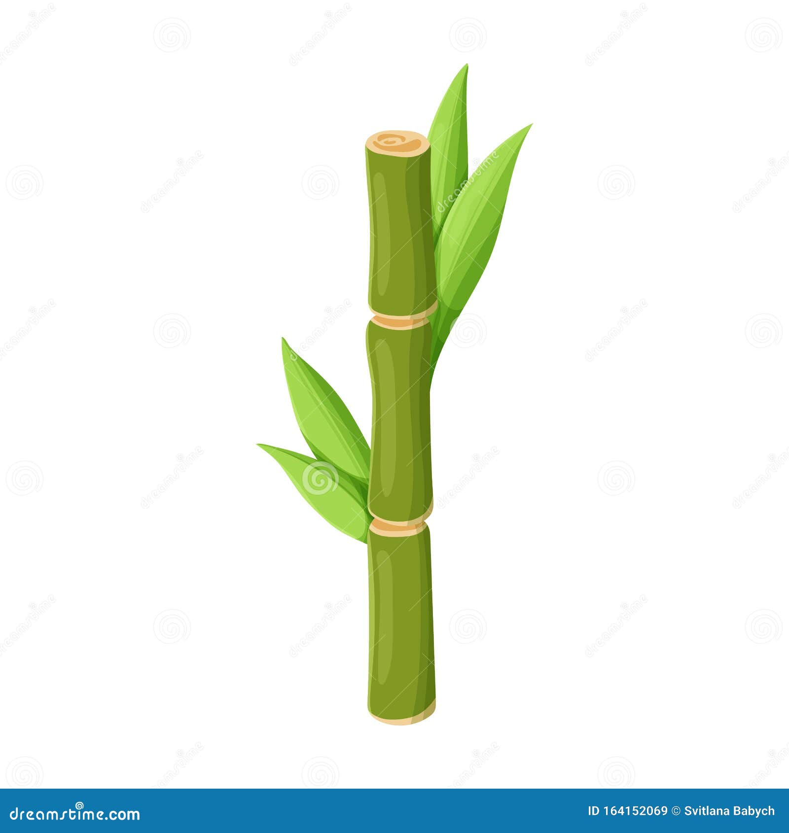Stem of Sugar Cane Vector Icon.Cartoon Vector Icon Isolated on White ...