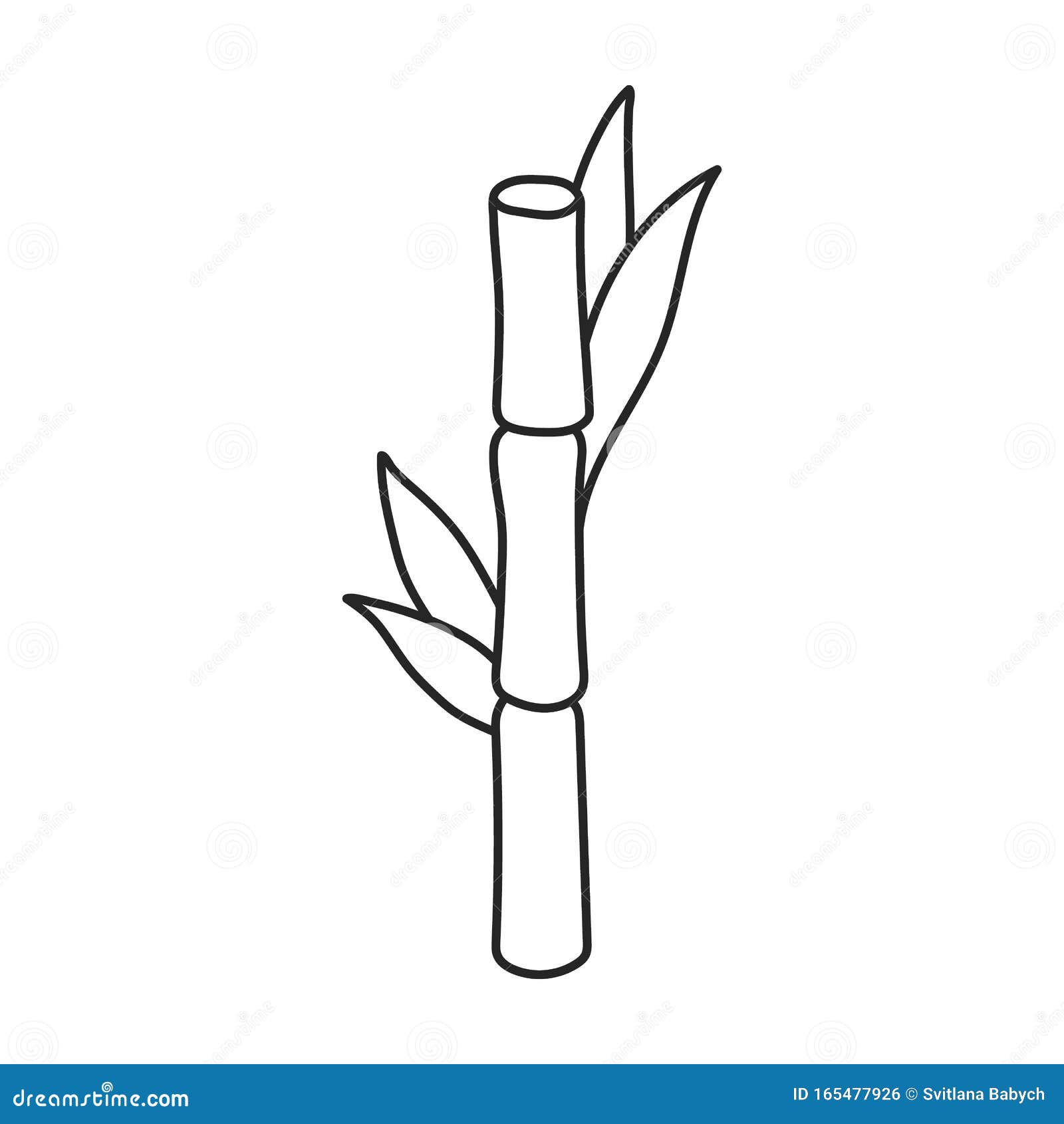 Stem of Sugar Cane Vector Icon.Line Vector Icon Isolated on White ...