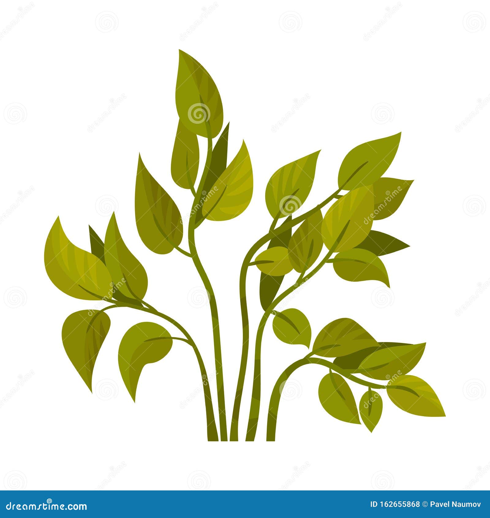 Stems with Green Leaves. Vector Illustration on a White Background ...