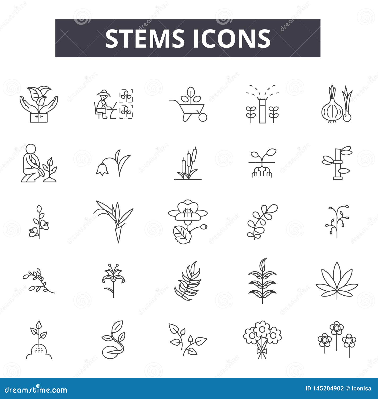 Stems Line Icons, Signs, Vector Set, Outline Illustration Concept Stock ...