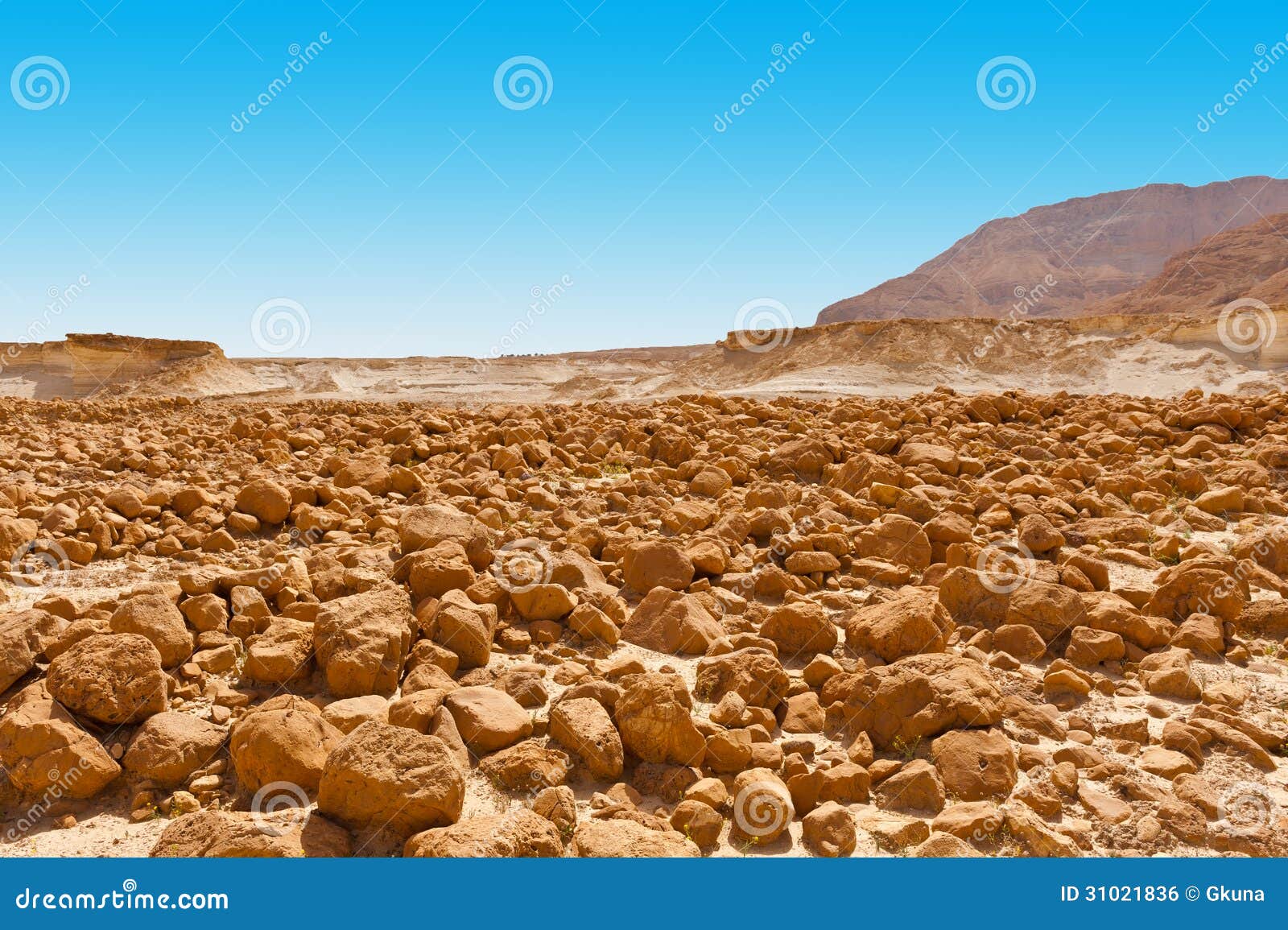 Stenen in de Woestijn stock foto. Image of canion, rots - 31021836