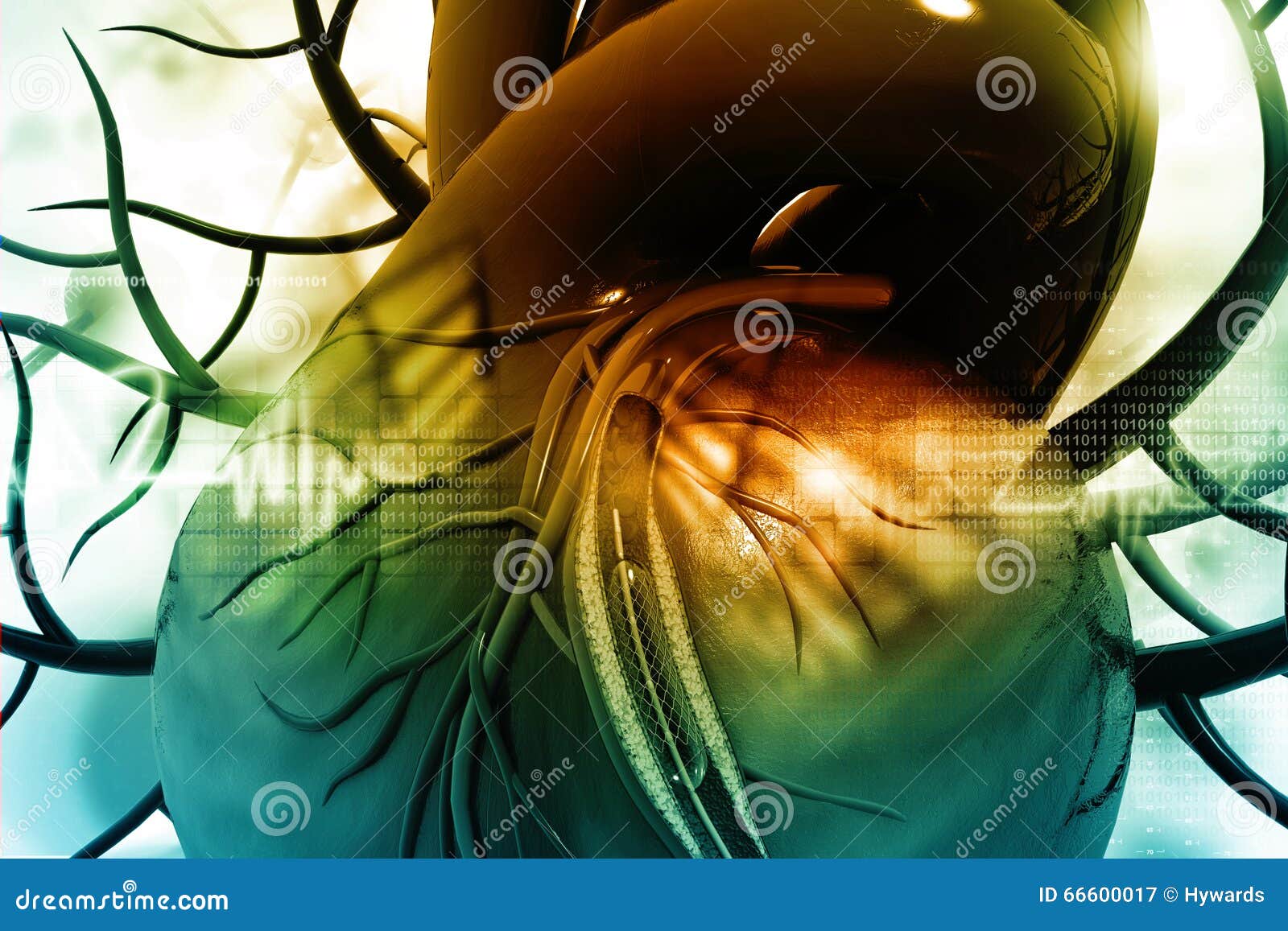 Stent And Angioplasty Isolated Royalty-Free Cartoon | CartoonDealer.com ...