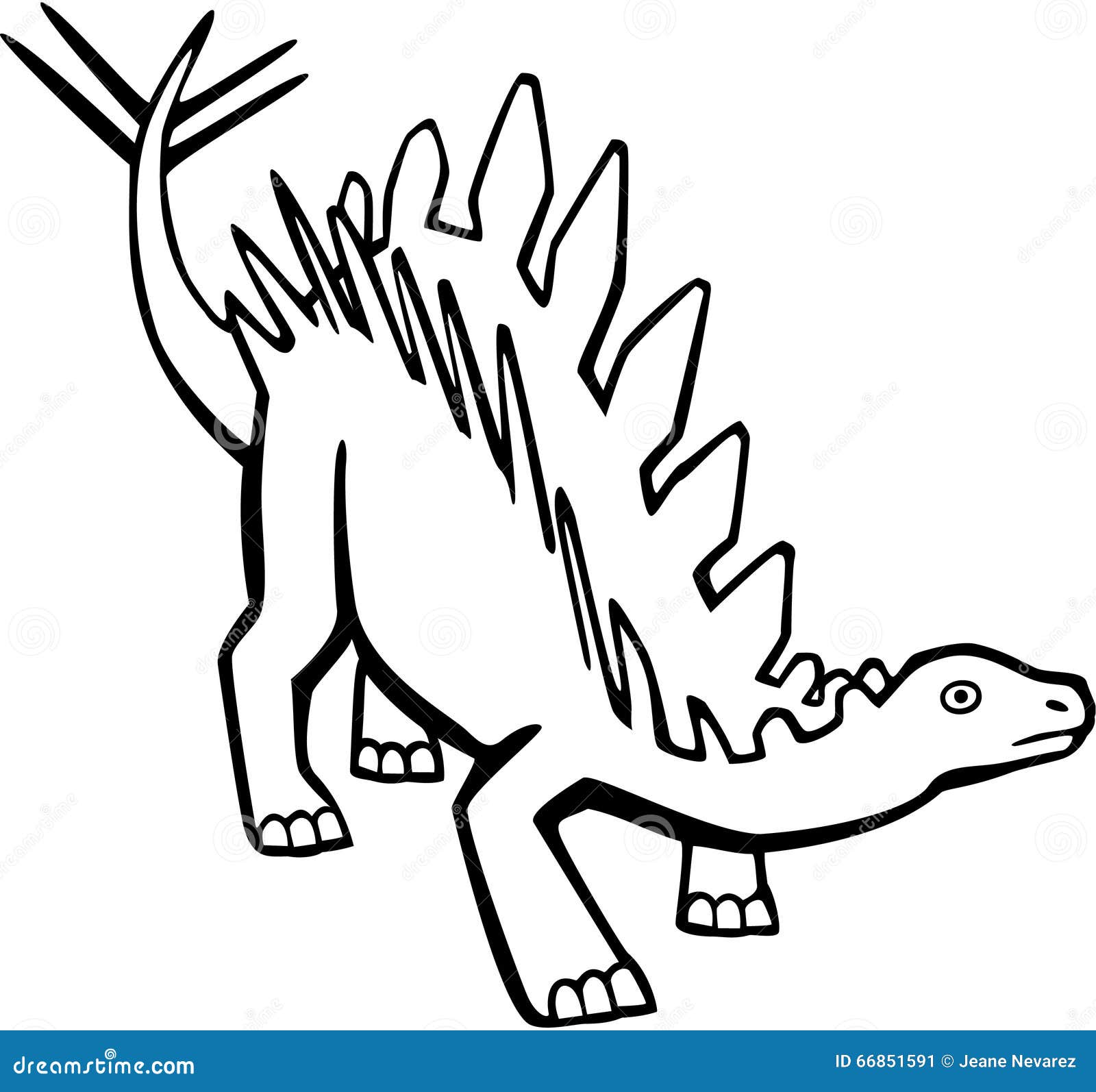 Stegosaurus Front View Showing The Plates Arranged Down Spine Royalty ...