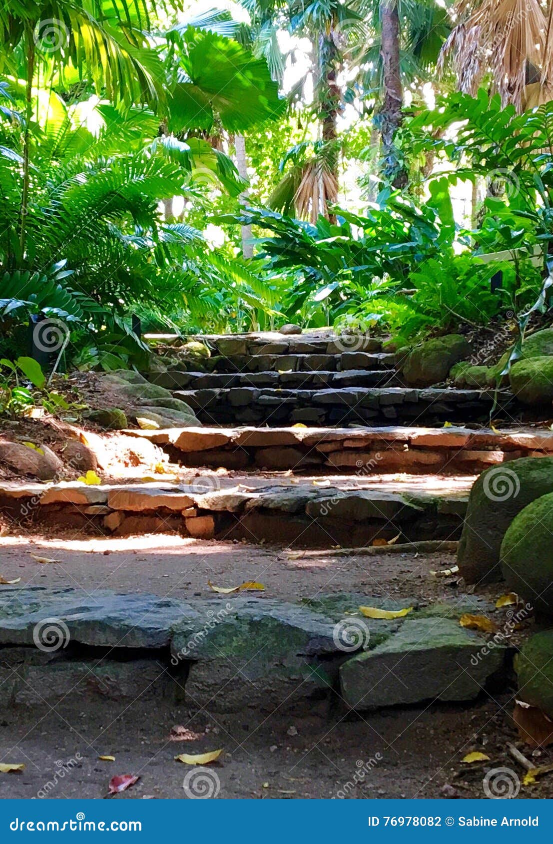 Step back in time stock photo. Image of green, outdoors - 76978082