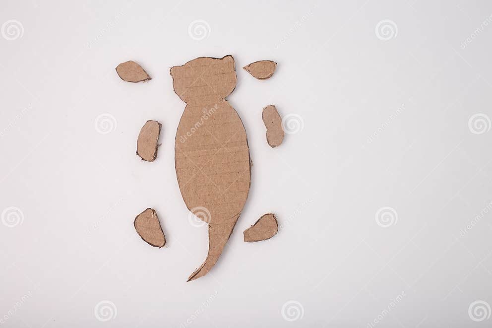 Step in the Creative Process of Making a Cardboard Otter, Showing ...