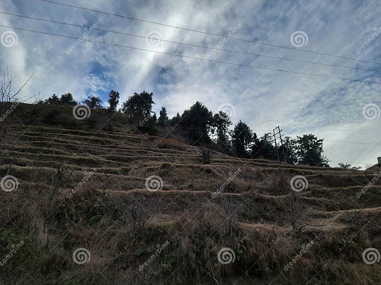 Step farming in Mountains stock photo. Image of soil - 215599334
