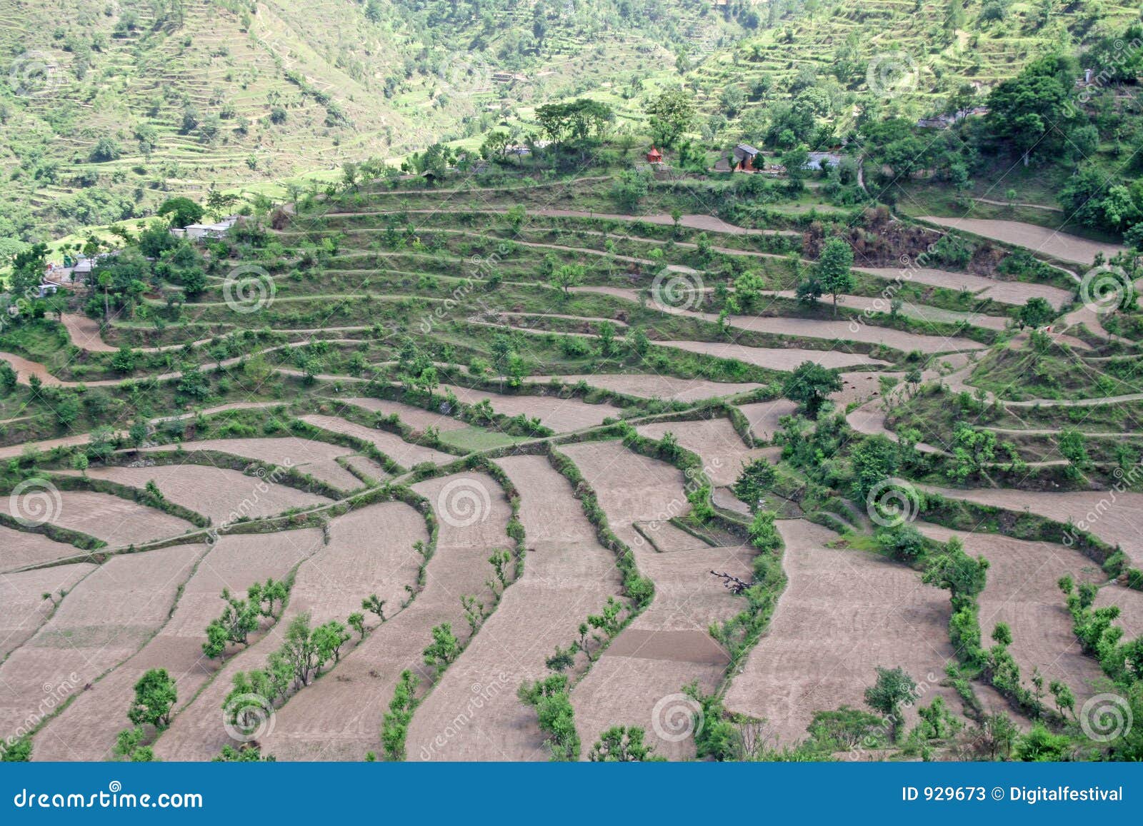 Step Farming In The Mountains Stock Image - Image of fields, hills: 929673