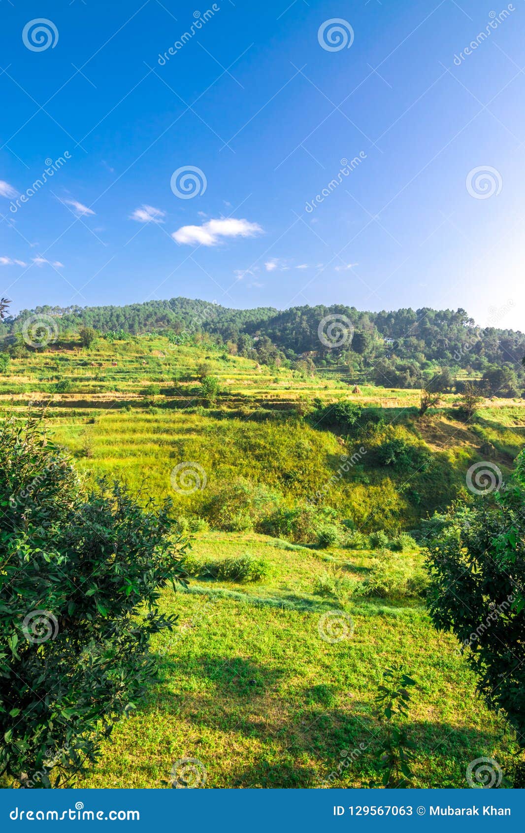 Step Farming in Mountains stock image. Image of spectacularly - 129567063
