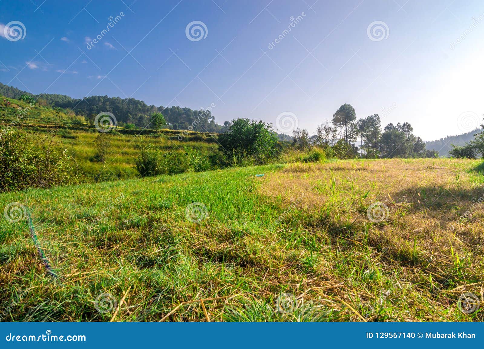 Step Farming in Mountains stock photo. Image of hills - 129567140