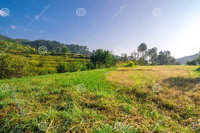 Step Farming in Mountains stock photo. Image of hills - 129567140