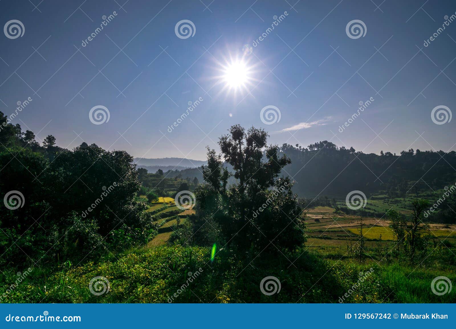 Step Farming in Mountains stock photo. Image of states - 129567242