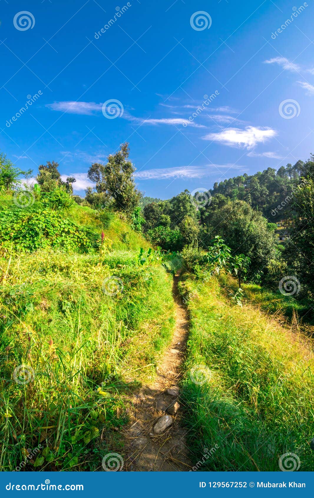 Step Farming in Mountains stock photo. Image of serpentine - 129567252