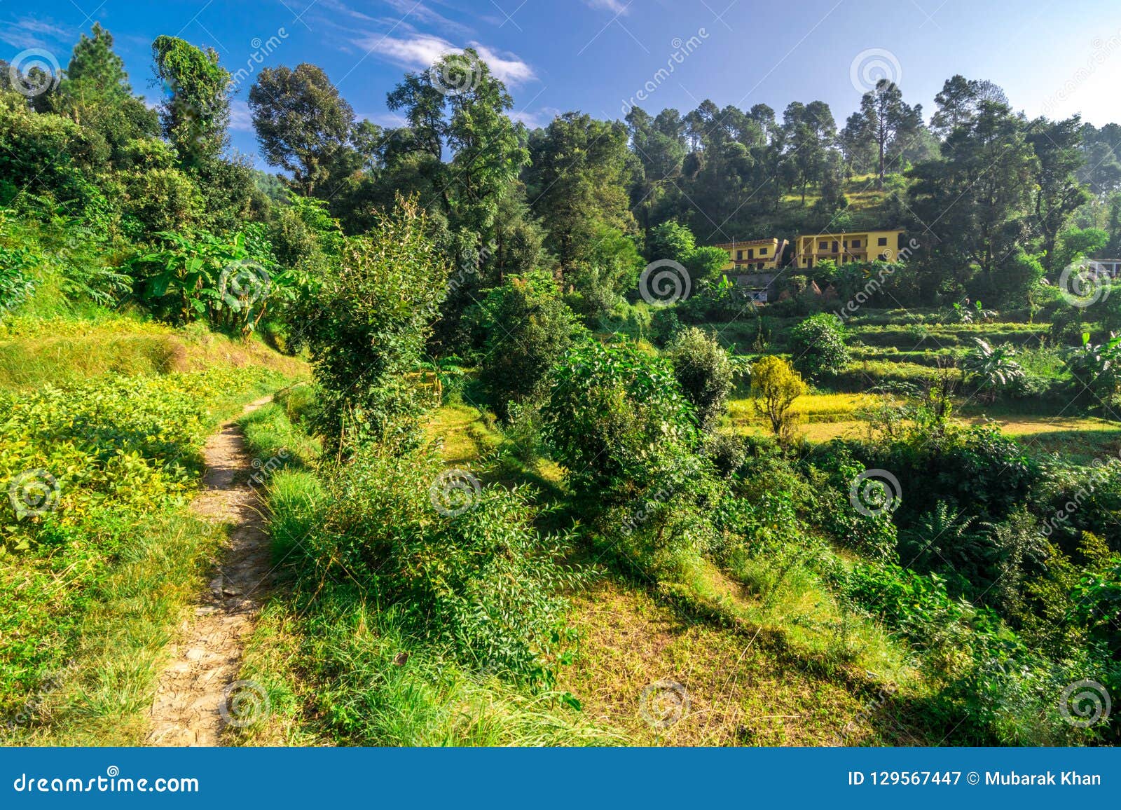 Step Farming in Mountains stock image. Image of landscapes - 129567447
