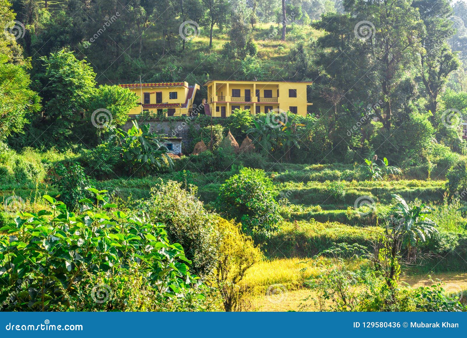 Step Farming in Mountains stock photo. Image of snowcapped - 129580436