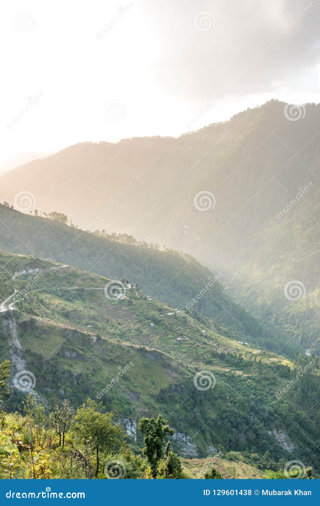 Step Farming in Mountains stock photo. Image of himalayas - 129601438
