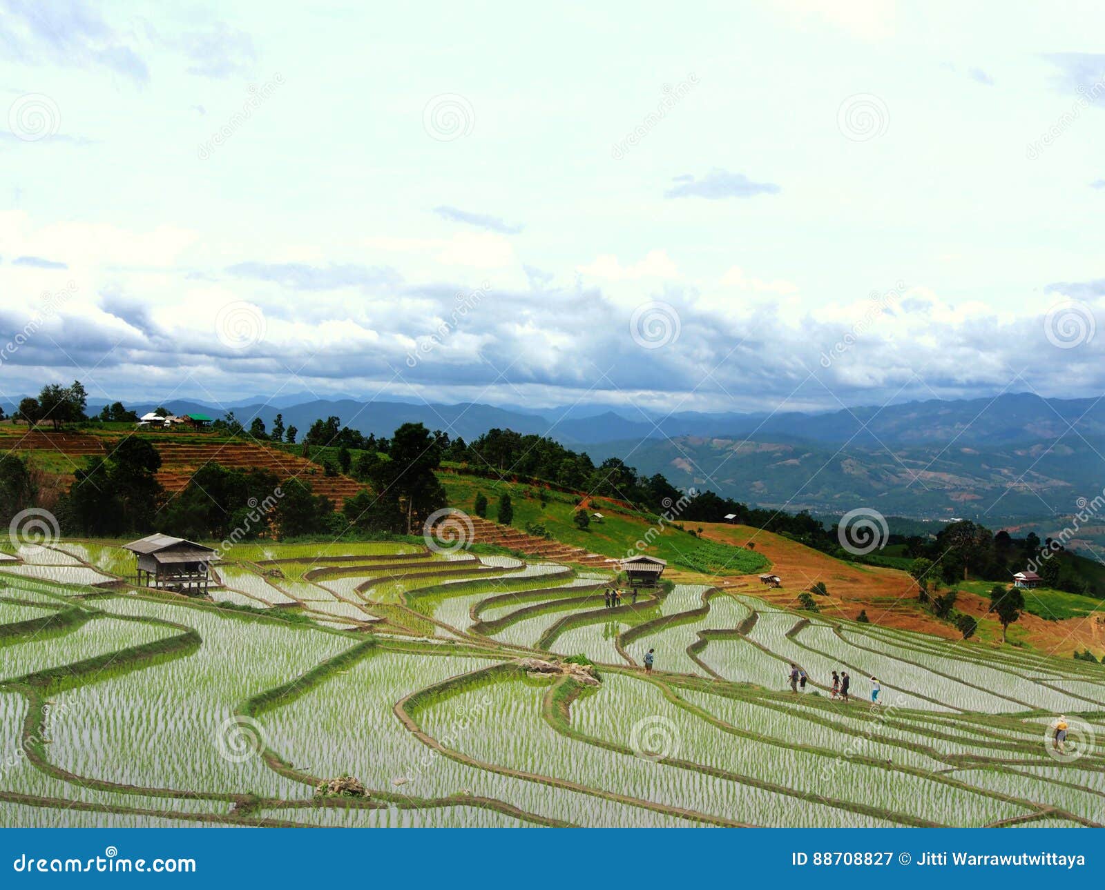 Step Field in Chiangmai stock image. Image of field, chiangmai - 88708827
