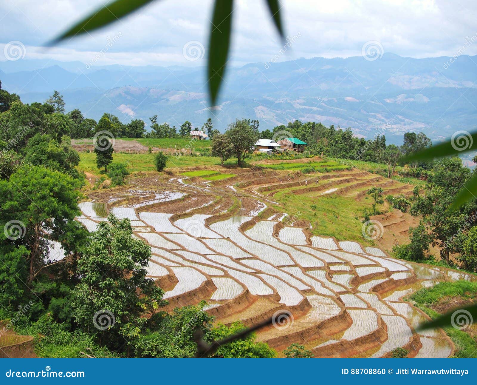 Step Field in Chiangmai stock photo. Image of field, agriculture - 88708860